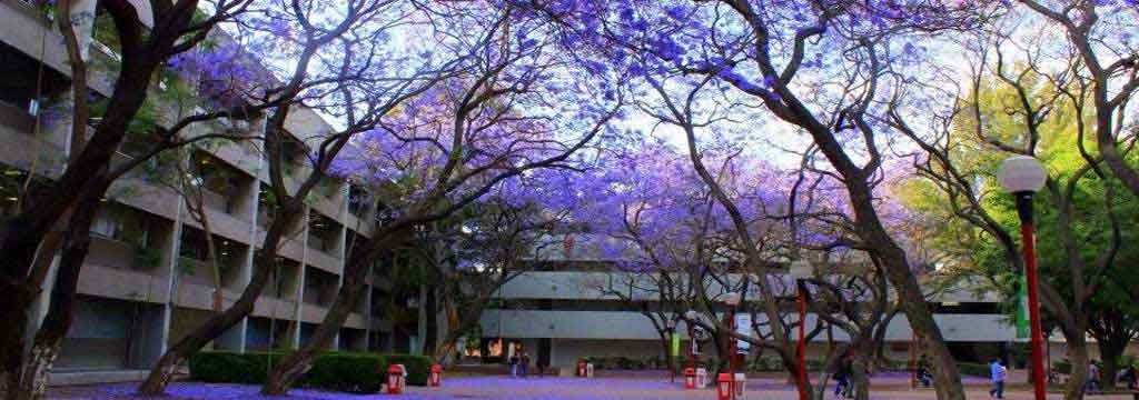 Admisión a Licenciatura UAM